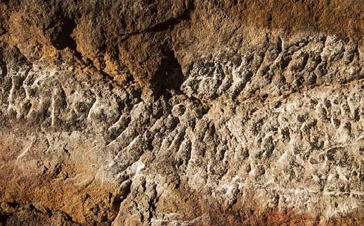 Centuries-old Tamil Brahmi inscription found in Madurai