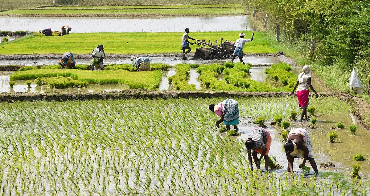 Cauvery Delta Region Youth To Stay As Rs 1 000 Crore Agro Industrial