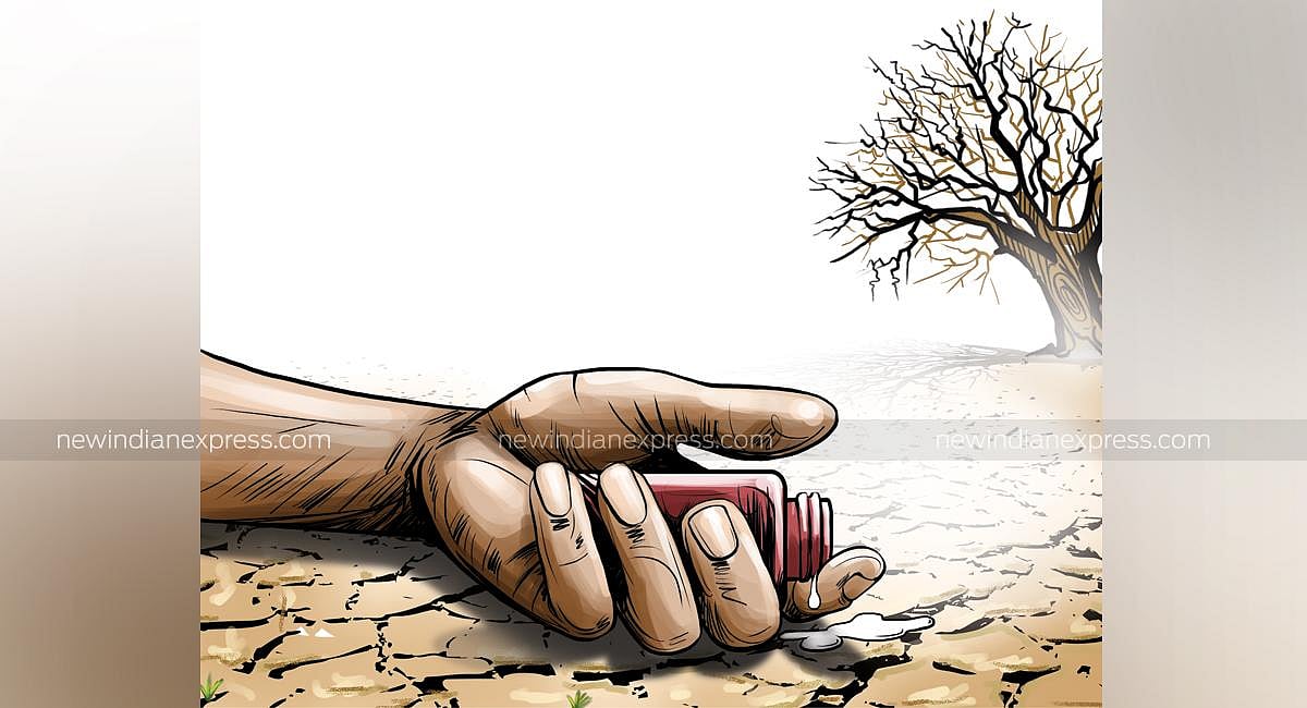 Farmer suicides up in Maharashtra; average of eight farmers die daily ...
