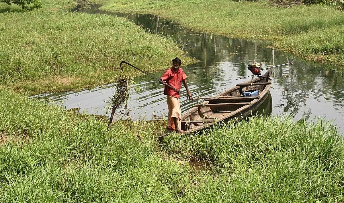 The lone weed warrior: Kerala man on a mission to save rivers
