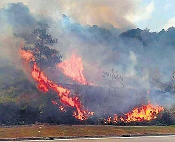 Forest fire rages in Oupada, Kuldiha ranges of Odisha