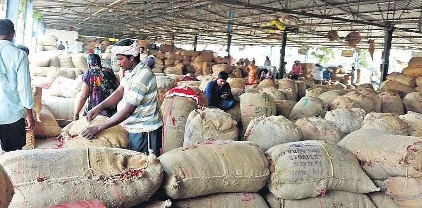 Demand in export market makes Guntur chilli hotter