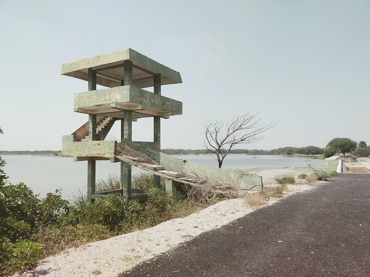 Rs 1-crore government aid will bring back tourists to Karaivetti bird ...