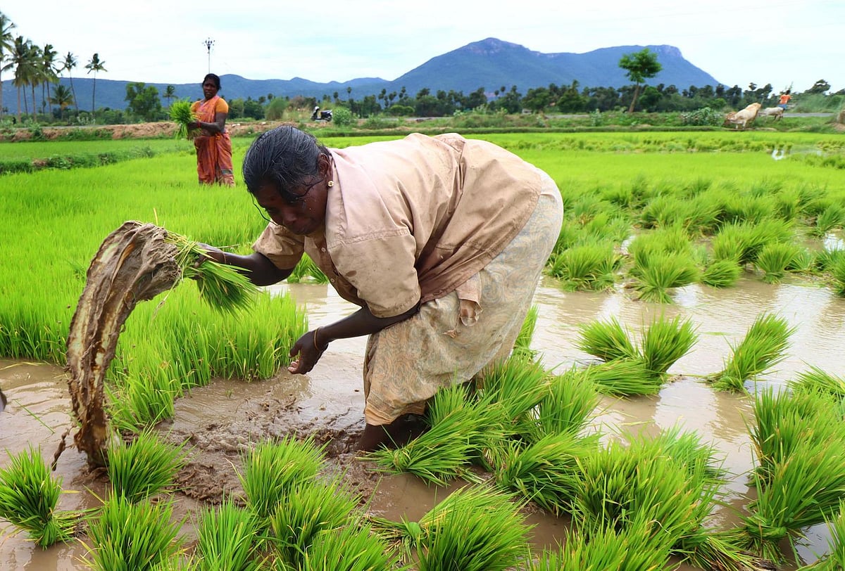 eFarmarket, the e-marketing platform to boost farm sector in Andhra