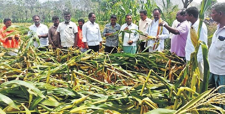 Hailstorm wreaks havoc on crops in Telangana