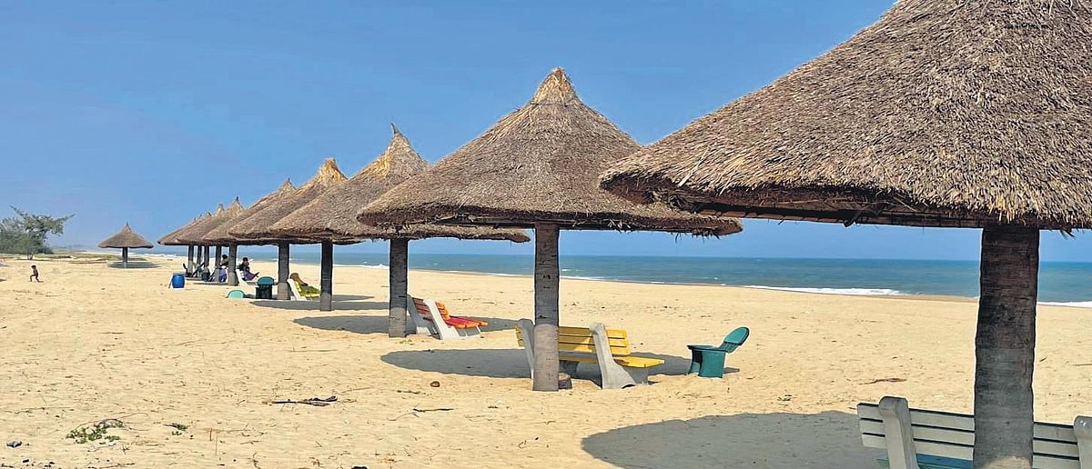 TTDC builds structures on estuary without CRZ clearance, coastal body ...