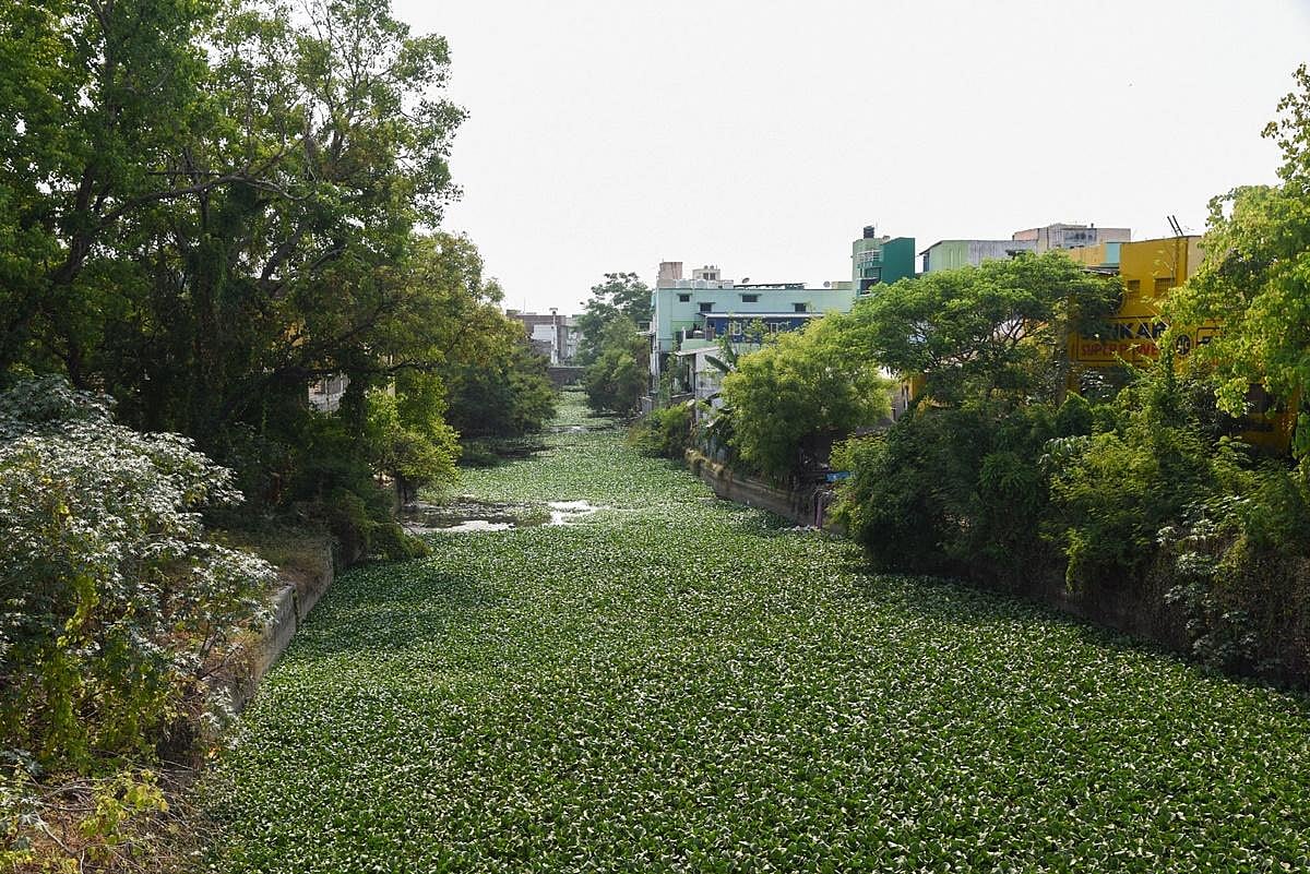 ‘Infrastrucutre projects in Tiruchy fail inclusivity test’