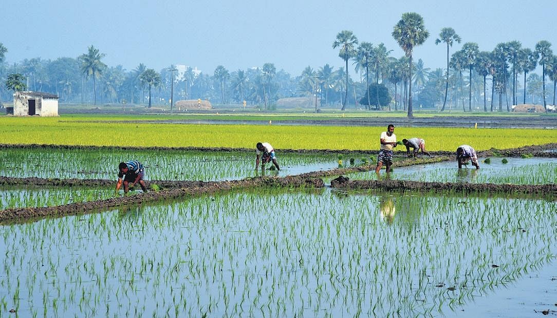 Natural farming: Andhra Pradesh gets 3 Jaivik India Awards