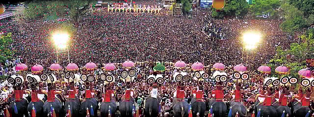 Thrissur pooram: Colour, rhythm and passion come alive at Thekkinkadu ...