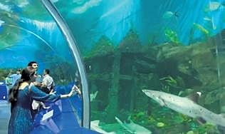 HMDA sets Aqua Marine Park project in motion