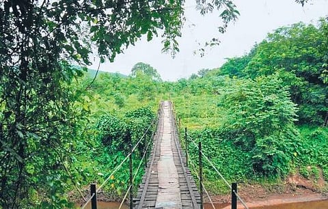 Picnic in the woods, by the river