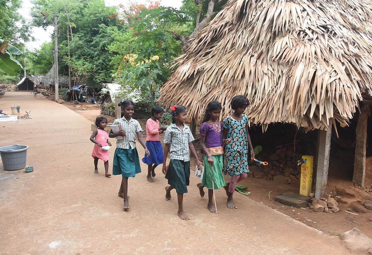 Odisha's tribal children to learn indigenous culture systems