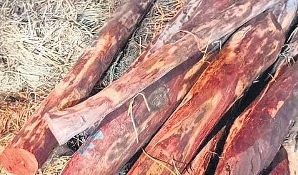 Red sand mined in Thadagam valley for construction works, say ...