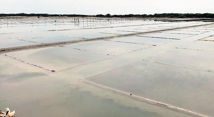9,000 acres of salt production hit in Vedaranyam as unseasonal rain ...