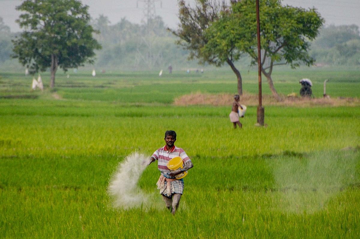 Kerala to conduct first-ever digital crop survey