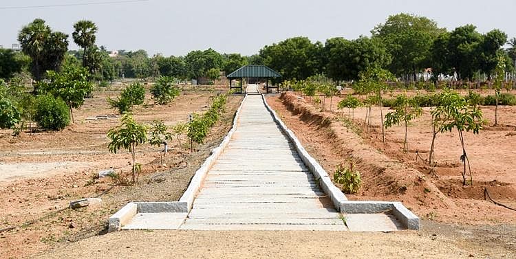 Nandhavanam at Thiruvellarai Temple revived, meets temple's floral needs