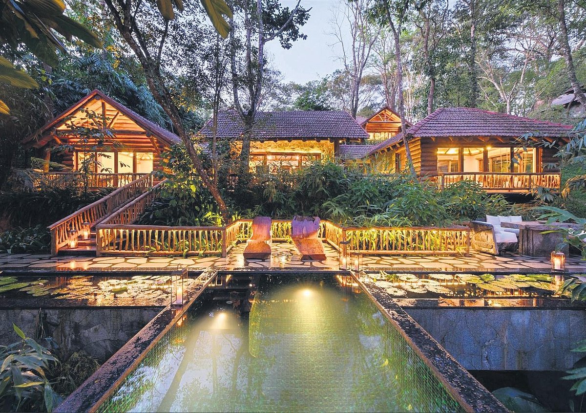 Jungle nook at Estate Plavu in Kerala’s Wayanad district - Ostefy.com