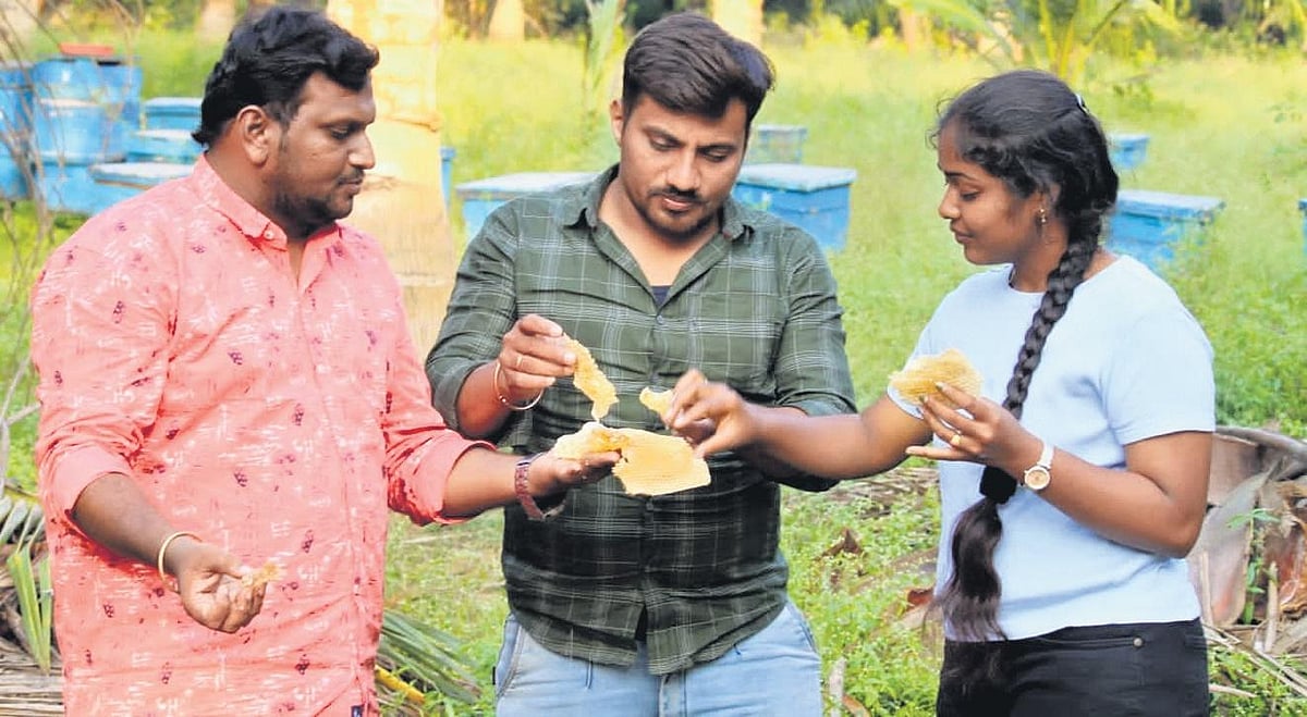 Techies-turned-entrepreneurs bring organic honey from farm to palms of ...