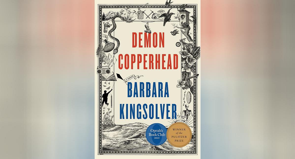 'Demon Copperhead' book review: United States of agency