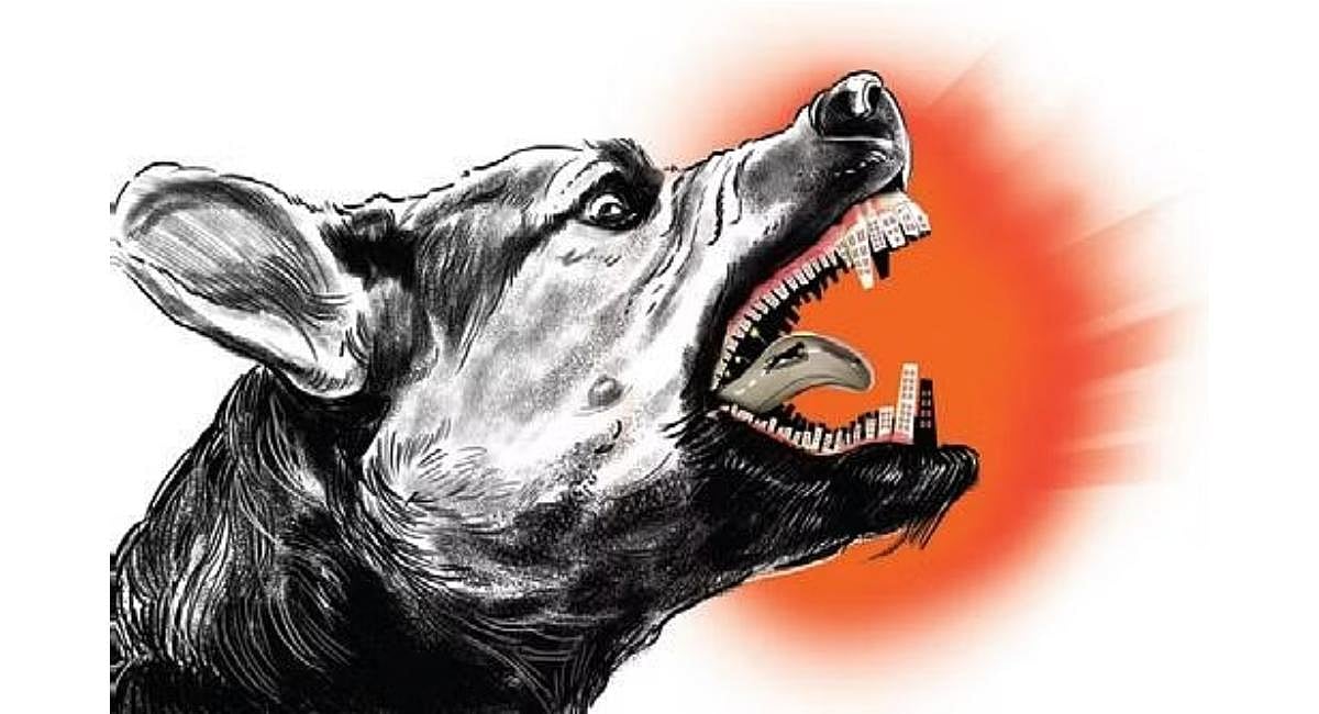 Stray dog attacks force leave for schools in Koothali