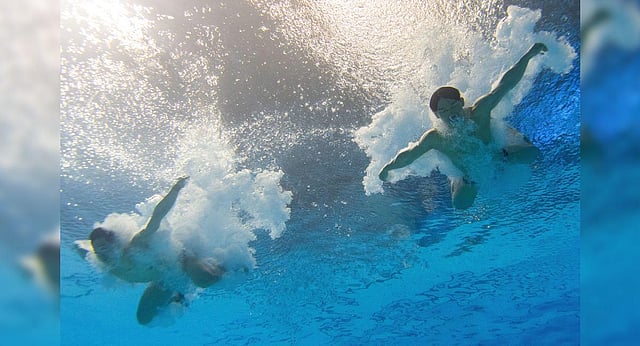 Chinese divers make strong start at world championships