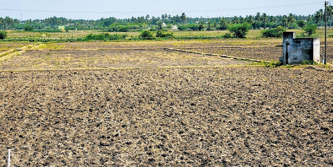 Kuruvai farmers fear Mettur dam supply will stop in a week, urge TN to act