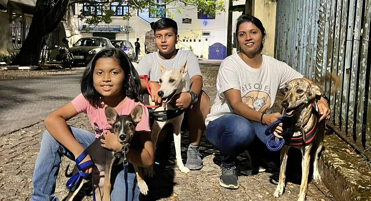 This Kochi home is a haven for abandoned paws