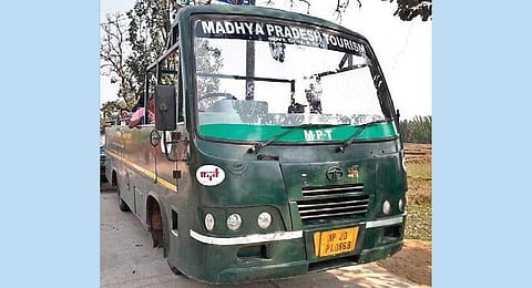 Environment ministry presses for EVs in national parks, tiger reserves