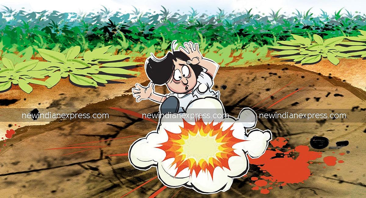 Nine-year-old boy injured in crude bomb explosion in Bengal's North 24 ...