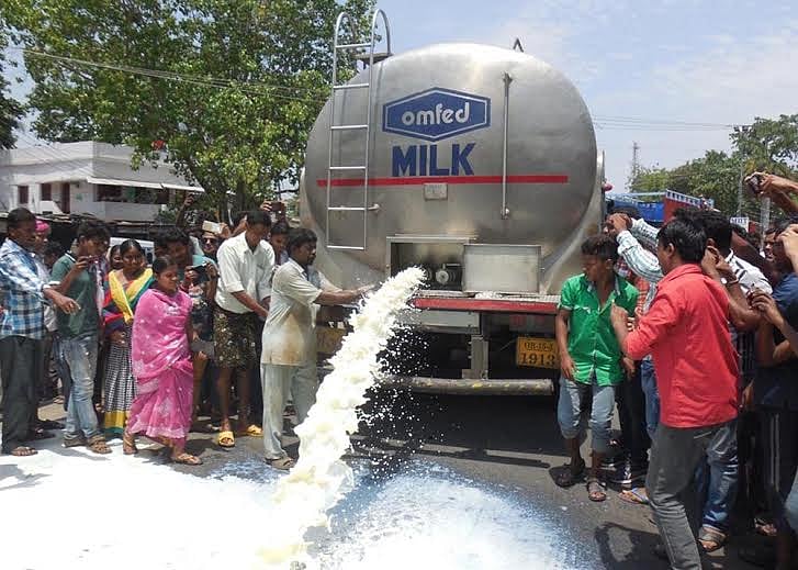 Dairy farmers set to reap benefit of 3rd milk chilling centre in Deogarh