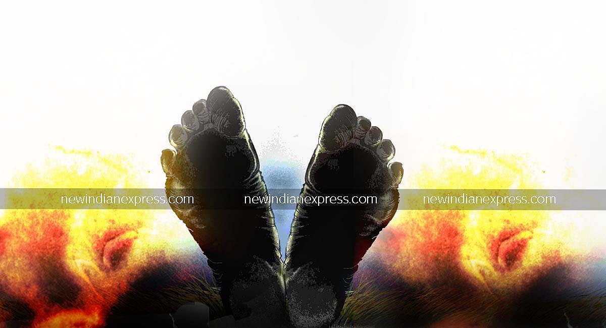 Burnt body parts found scattered across field in Kerala, probe underway