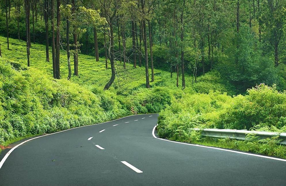 NHAI plans to rope in NGOs to rev up highways for plantation drives