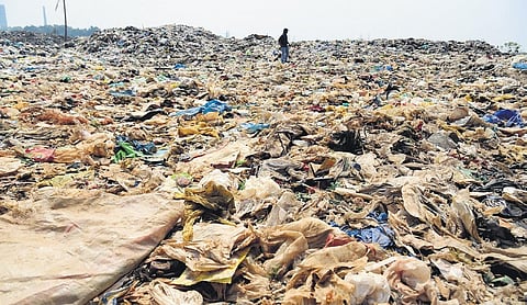 Expedite BSF biowaste project, can’t wait for next disaster: Kerala HC