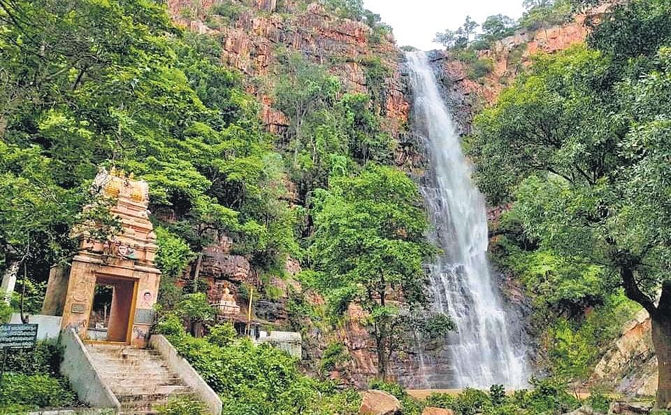 Techie explores hidden verdant hues of Lankamala forest
