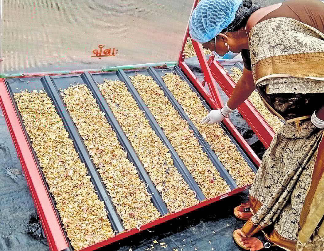 Andhra Pradesh to get 5,000 solar food processing units