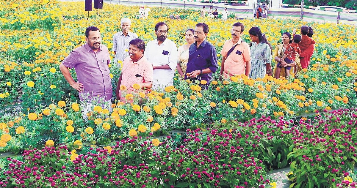 ‘Blooming’ revolution gives Onam A Malayali colour