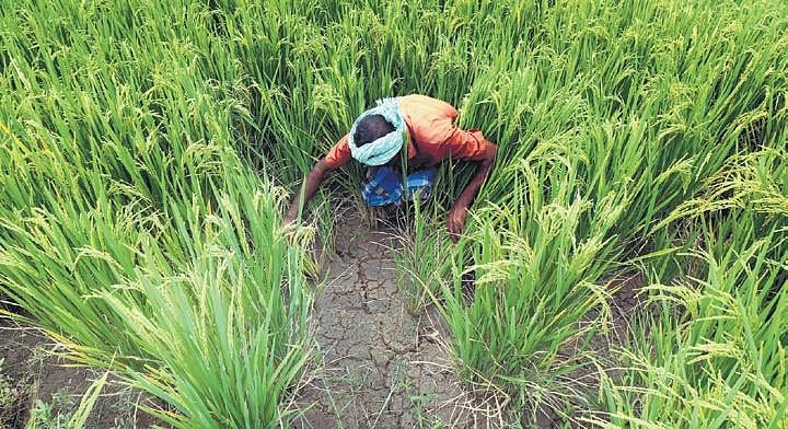 Crop loan waiver exercise begins