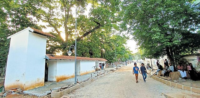 Manaveeyam stretch to be opened ahead of Onam