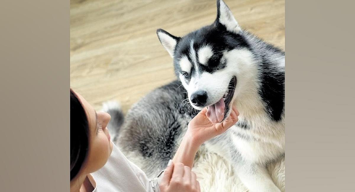 Prevention, timely care can save lives