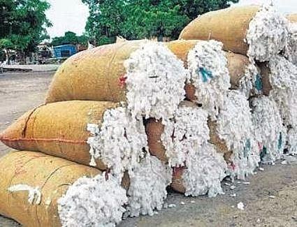 ‘Kasturi’ branding for cotton