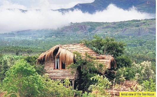 The magic of Marayoor!