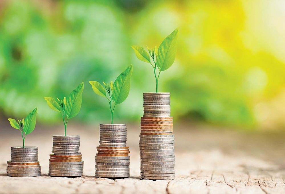 A Guide to Growing Wealth