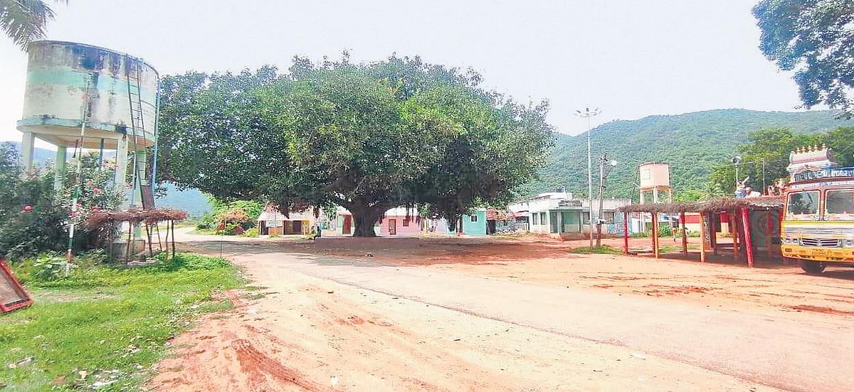 Madras HC to pronounce verdict in 1992 Vachathi rape and assault case ...