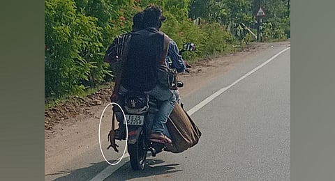 Two men in custody for capturing monitor lizard in Telangana