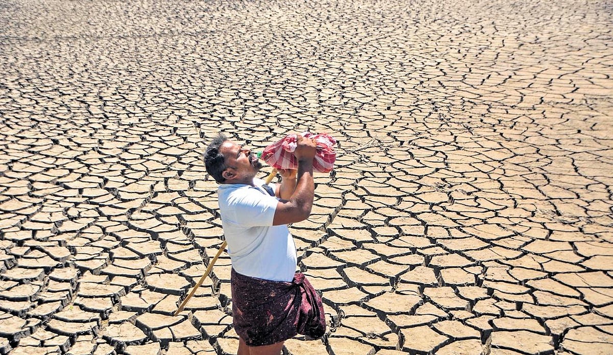 Integration of climate change in Chennai plan necessary to counter ...