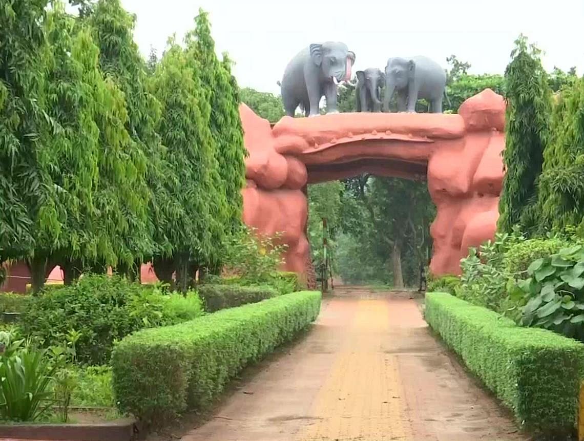 Forest department in Odisha plans nocturnal trail in -Dampara Wildlife ...