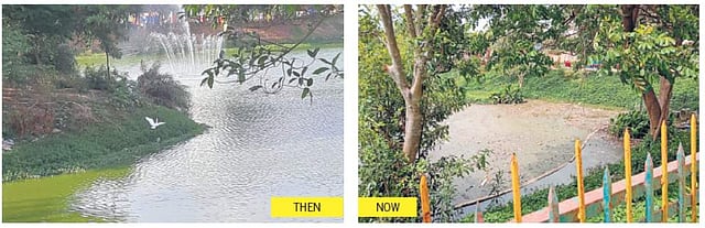 Bengaluru's Puttenahalli lake losing its sheen