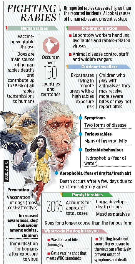 Human rabies notified as dangerous disease