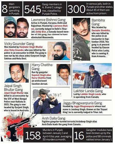 Special Report | Music, Murder, Manslaughter: Inside the Gangs of Punjab