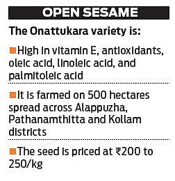 Onattukara sesame enters list of GI-tagged products from Kerala, thanks ...